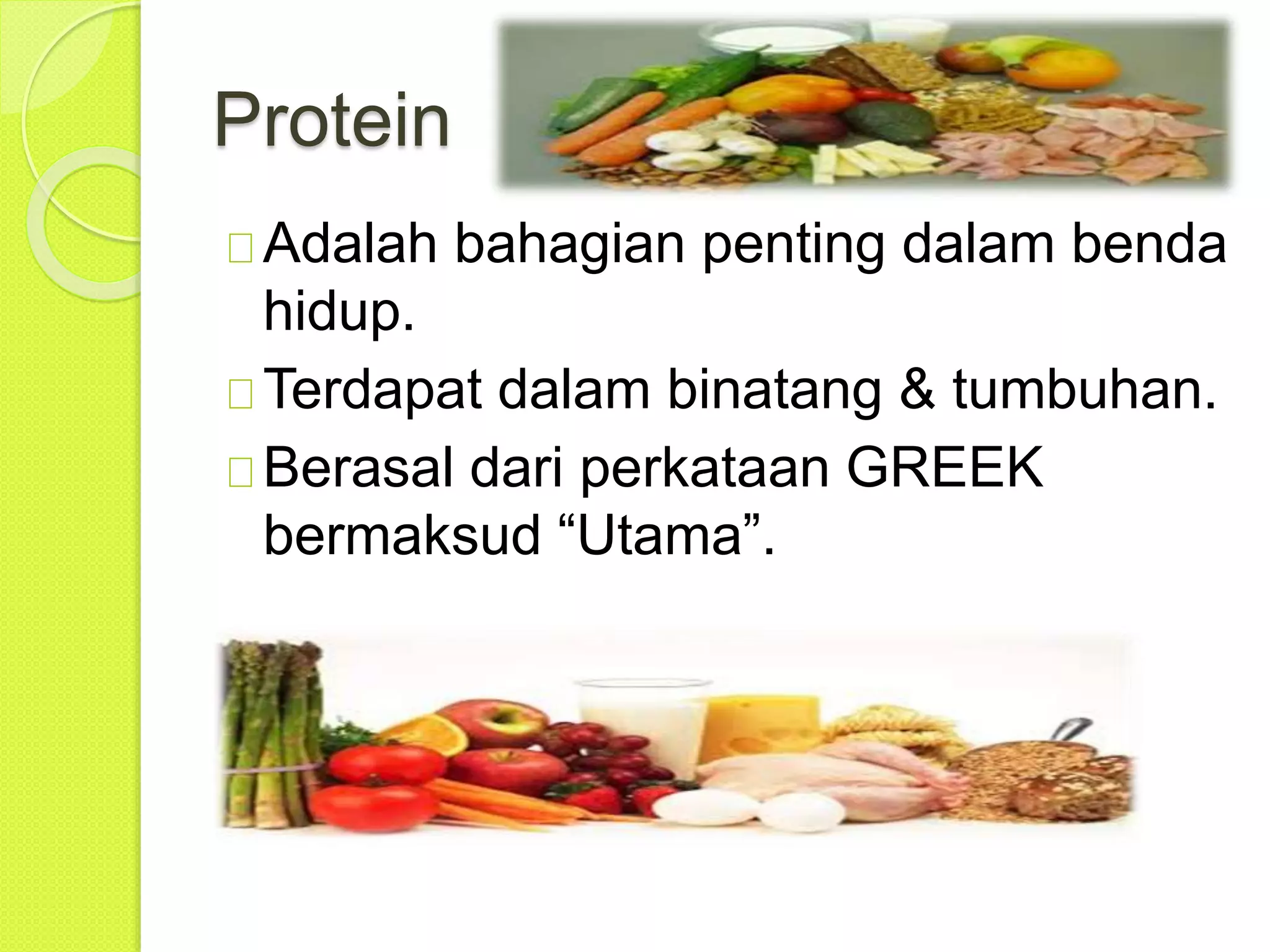 protein,fungsi dan sumber protein (untuk pelajar khas) | PPTX