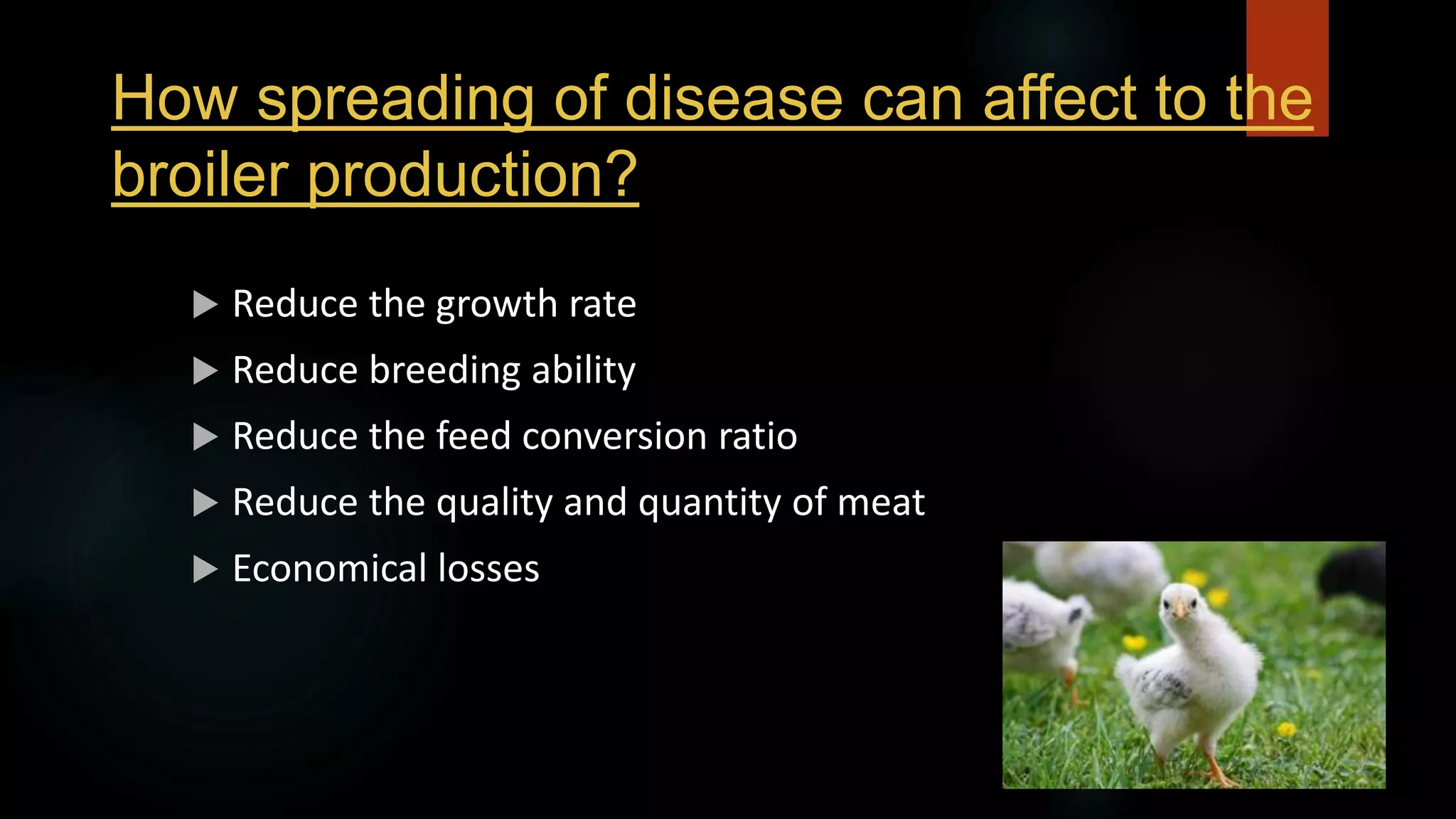 Spreading of broiler diseases | PPTX | Infectious Diseases | Diseases ...