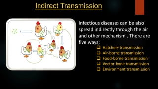 Spreading of broiler diseases | PPTX