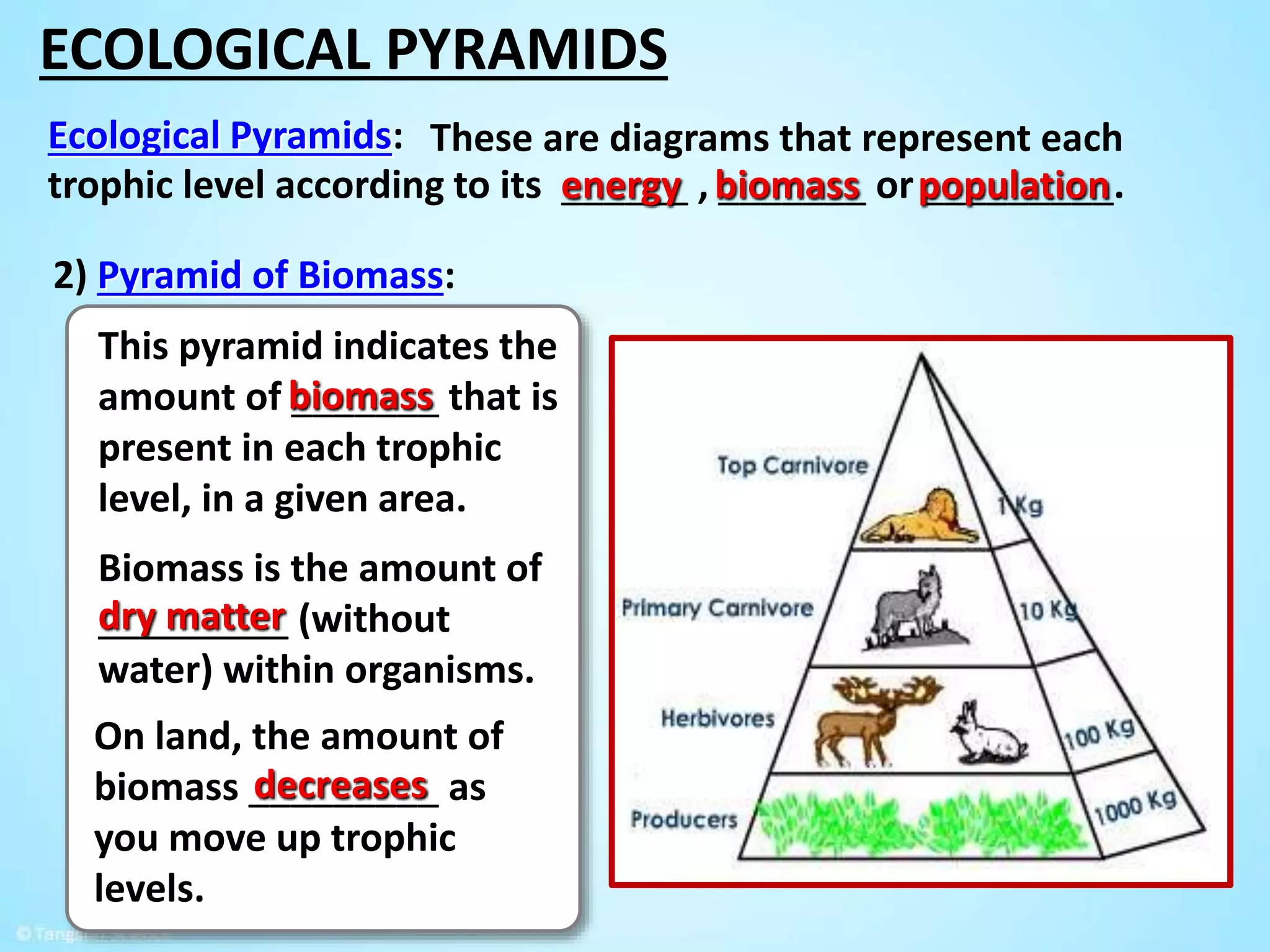 C2T2 Microorganisms and decay.pptx | Geography | Science