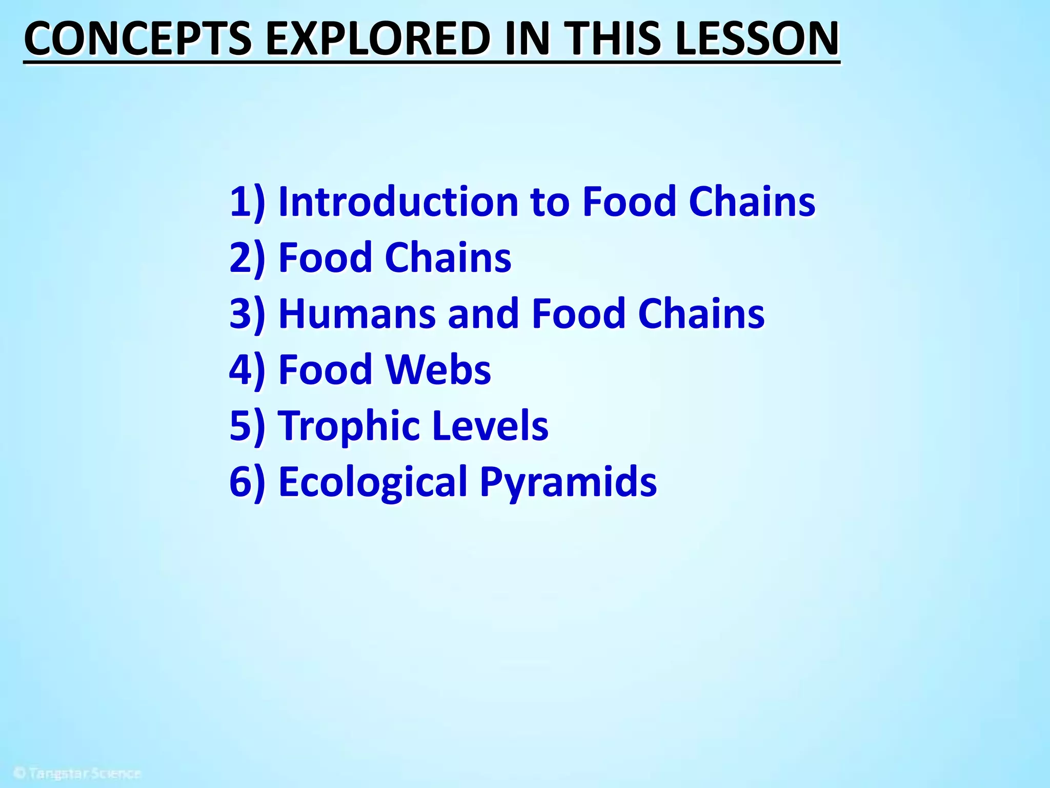 C2T2 Microorganisms and decay.pptx