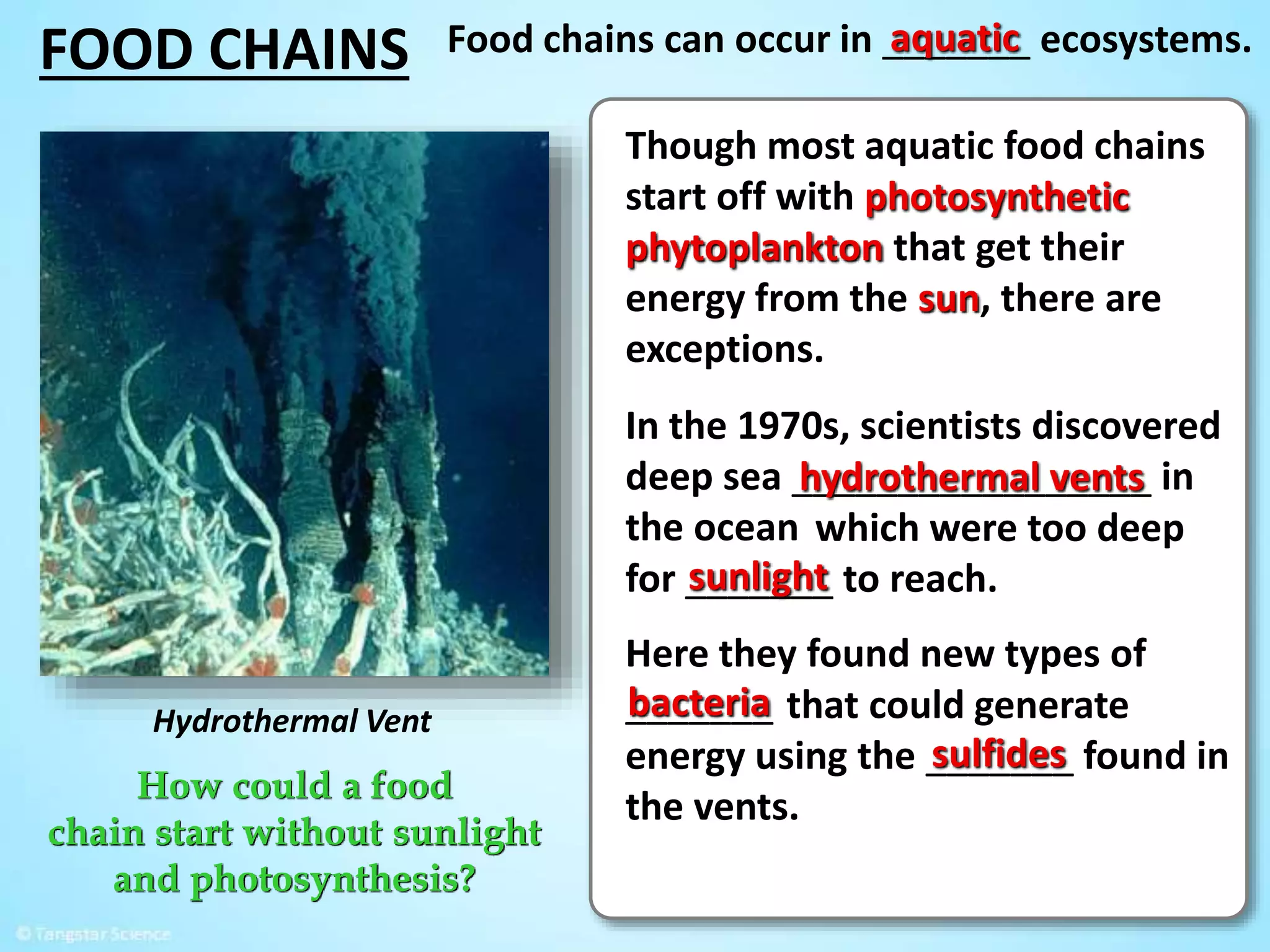 C2T2 Microorganisms and decay.pptx