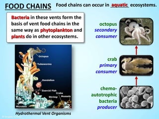 C2T2 Microorganisms and decay.pptx