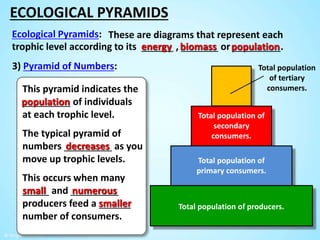 C2T2 Microorganisms and decay.pptx