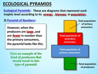 C2T2 Microorganisms and decay.pptx