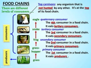 C2T2 Microorganisms and decay.pptx