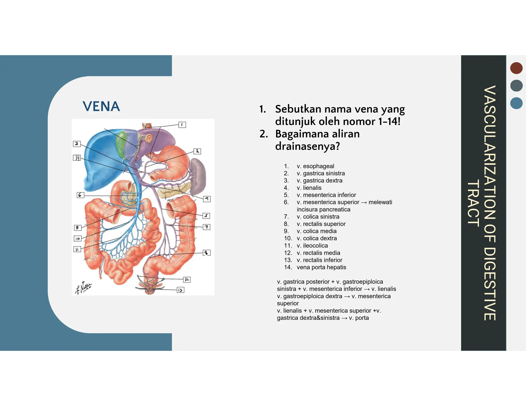 C2 Vascularisasi dan innervasi Dinding GEH.pdf