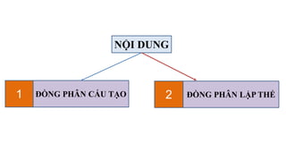 c3. Đồng phân học.pptx