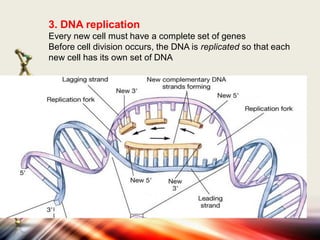Gene Expresssion | PDF