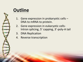 Gene Expresssion | PDF