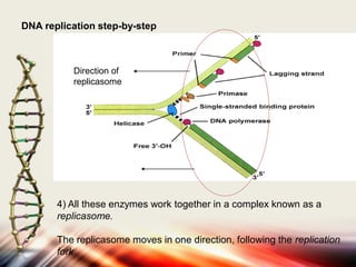 Gene Expresssion | PDF