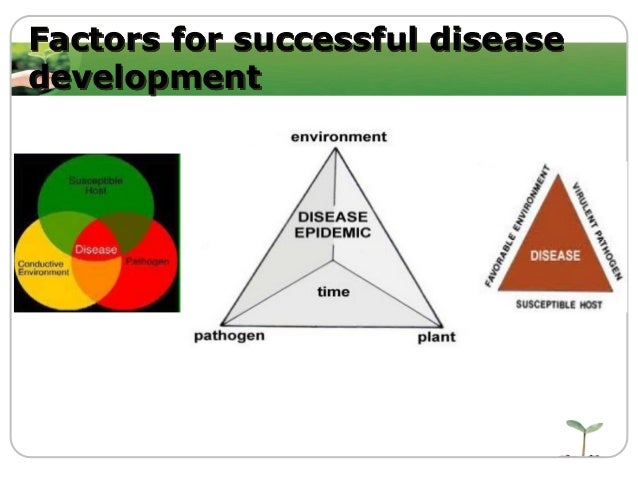 plant disease development