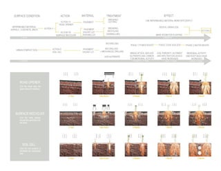 Zhao_Work samples | PPT