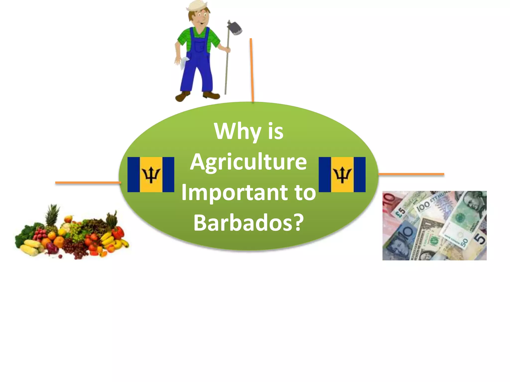 Why is agriculture important to Barbados | PPT