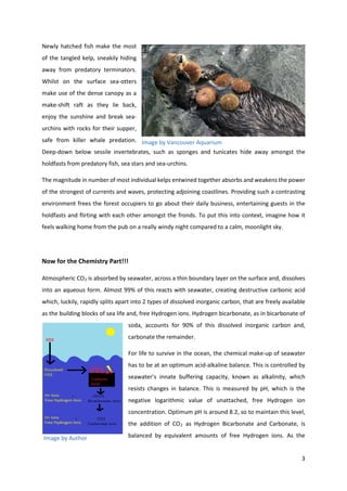 New Scientist Article | PDF