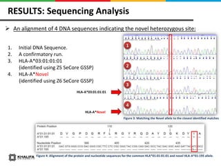 SEHA e-Poster_HLA_Wael Abdrabou | PPTX