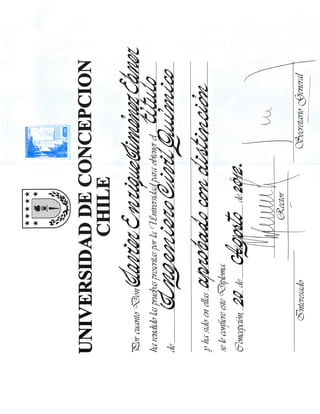2012 UdeC Diploma de Titulo | PDF