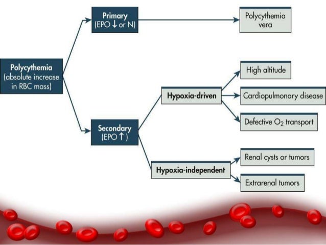 polycythemia
