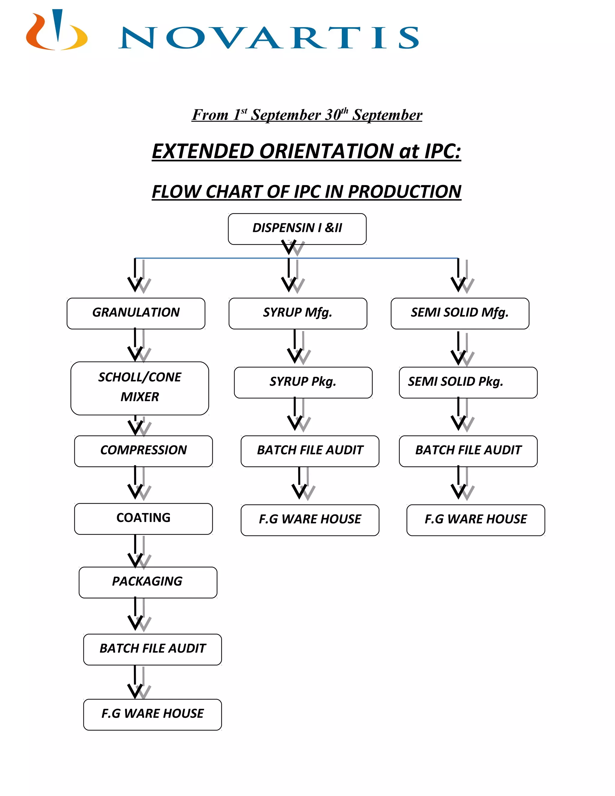 Orientation Report Latest | DOC