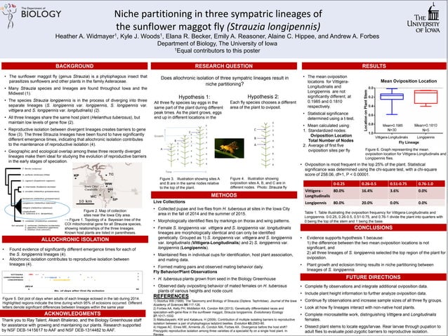 SURC Poster final | PDF | Gardening | Home & Garden