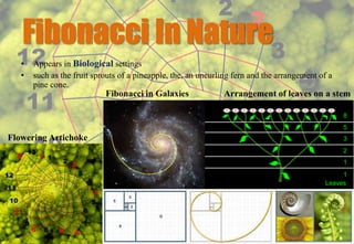 Fibonacci Series | PPTX