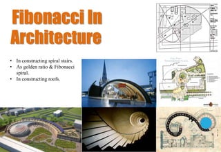 Fibonacci Sequence In Architecture