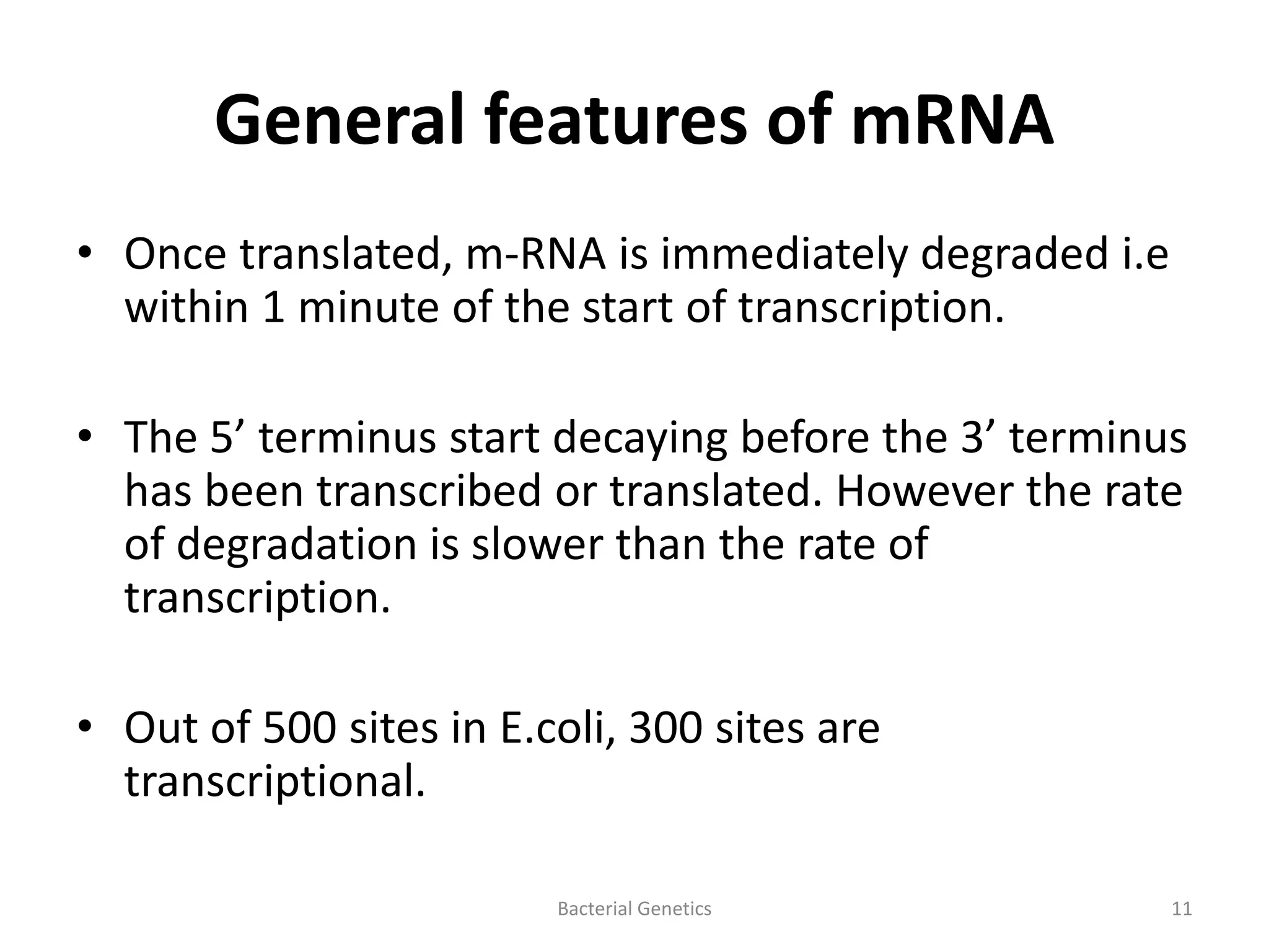 Types And Structure Of Prokaryotic Rna Ppt