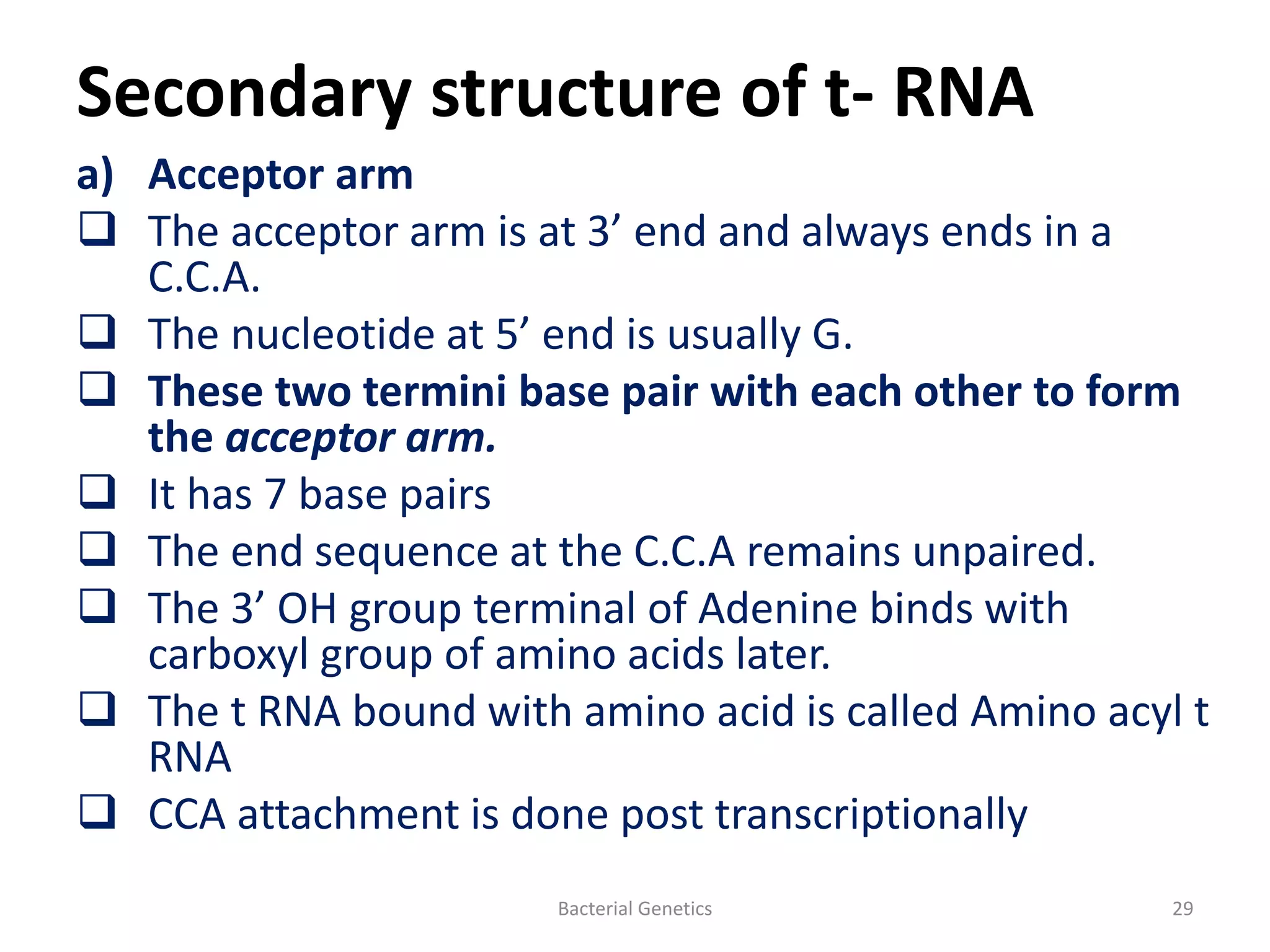 Types And Structure Of Prokaryotic Rna Ppt