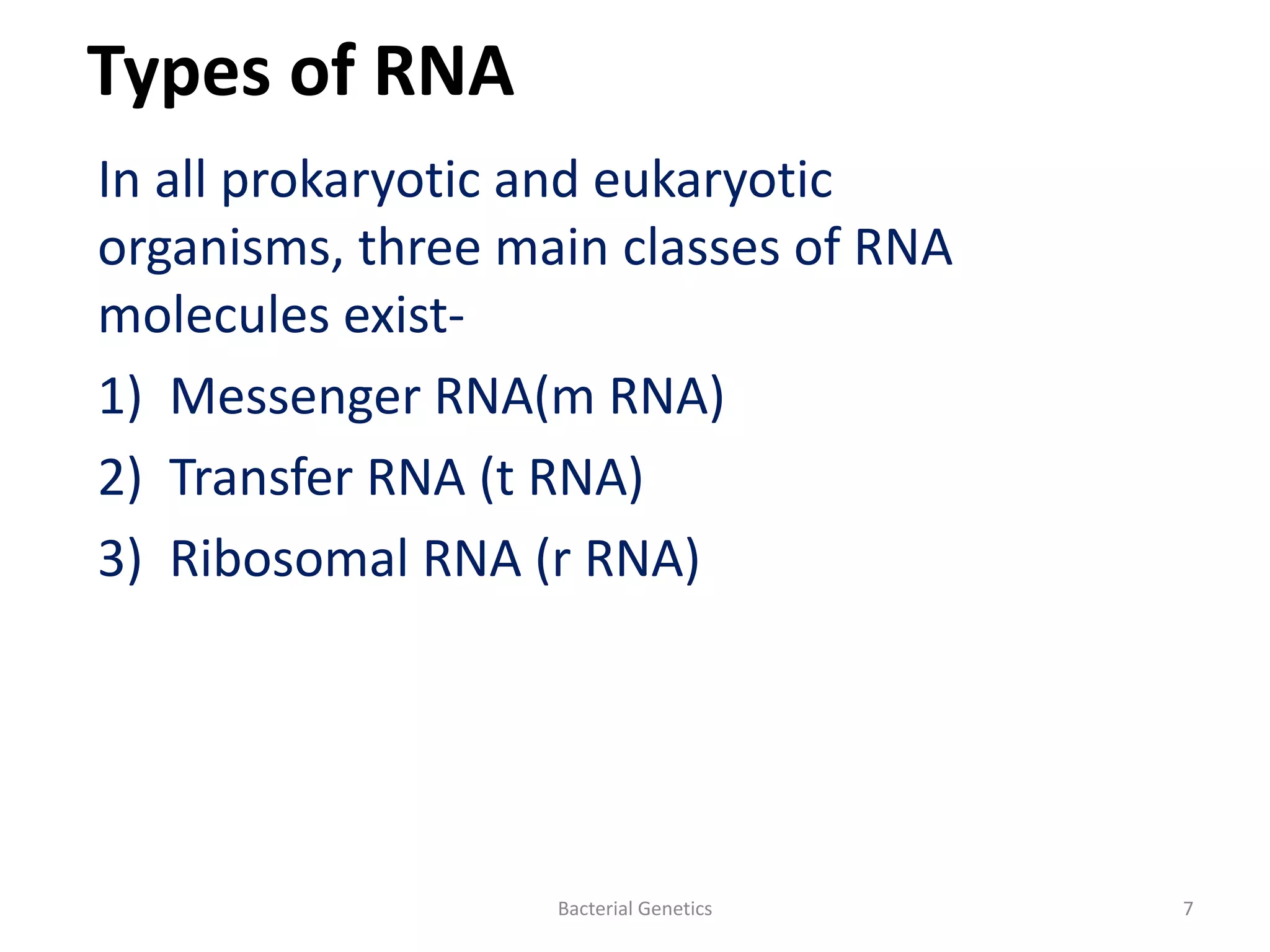 types and structure of prokaryotic RNA | PPT