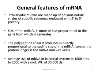 types and structure of prokaryotic RNA | PPT