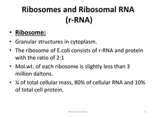 types and structure of prokaryotic RNA | PPT