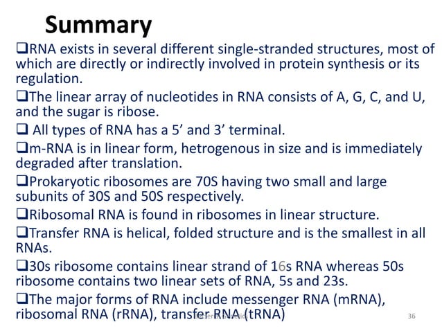types and structure of prokaryotic RNA | PPT
