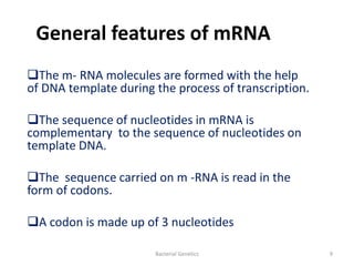 types and structure of prokaryotic RNA | PPT
