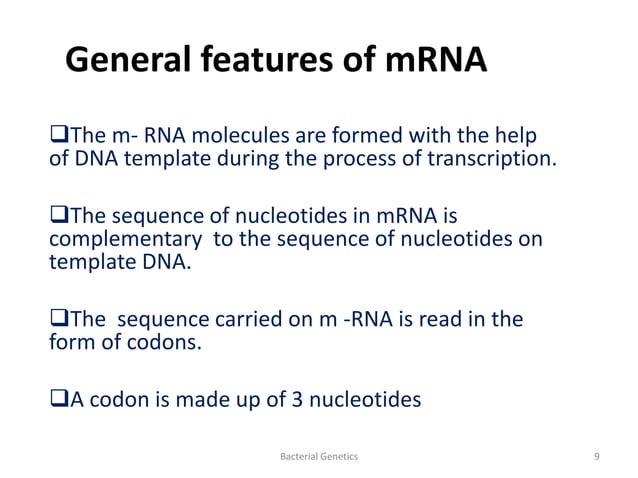 types and structure of prokaryotic RNA | PPT