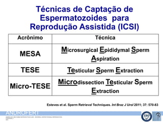 MESA, TESE, MicroTESE | PPTX