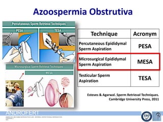 MESA, TESE, MicroTESE | PPTX