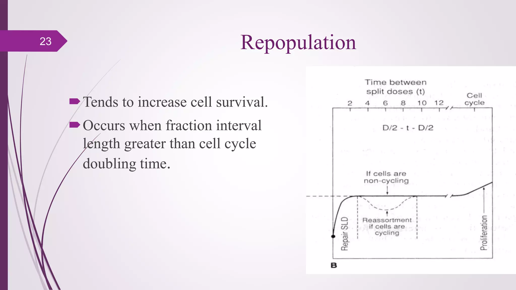 Fractionation in Radiotherapy | PPTX