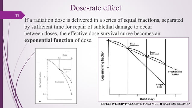 Fractionation in Radiotherapy | PPTX