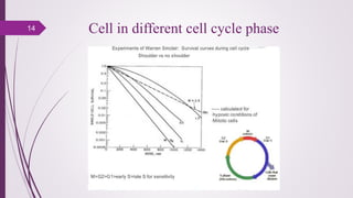 Fractionation in Radiotherapy | PPTX
