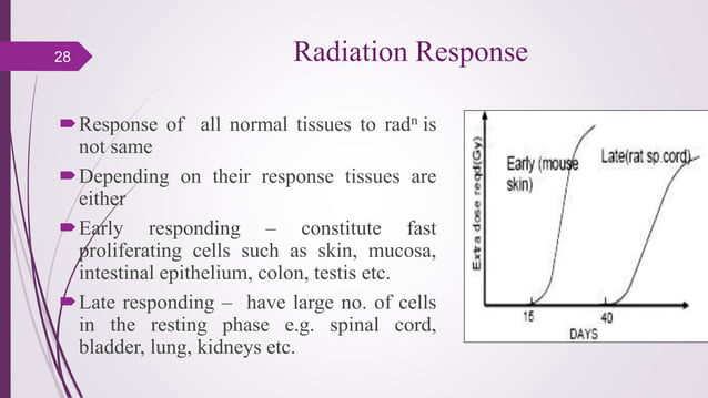 Fractionation in Radiotherapy | PPTX