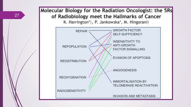 Fractionation in Radiotherapy