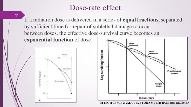 Fractionated Radiation And Dose Rate Effect