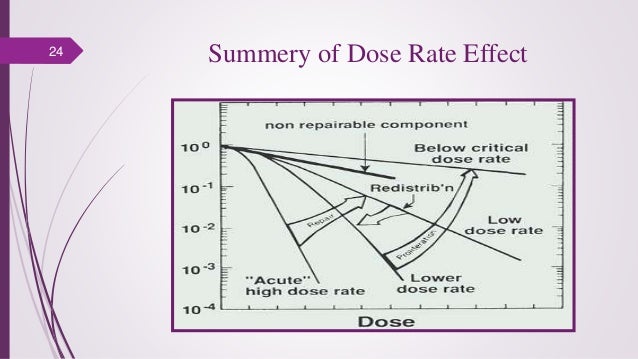 Fractionation in Radiotherapy
