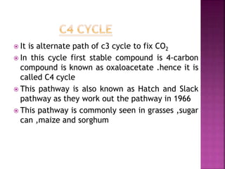 C3 and c4 plants ,characteristic ,cycles and significance | PPTX | Science