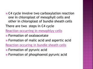 C3 and c4 plants ,characteristic ,cycles and significance | PPTX | Science