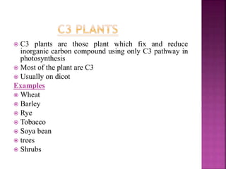 C3 and c4 plants ,characteristic ,cycles and significance | PPTX | Science