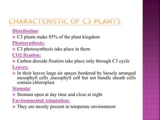 C3 and c4 plants ,characteristic ,cycles and significance | PPTX | Science