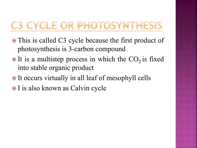 C3 and c4 plants ,characteristic ,cycles and significance | PPTX | Science