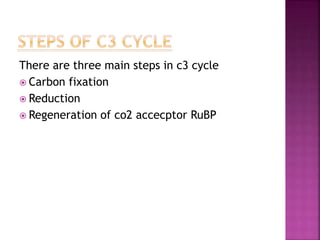 C3 and c4 plants ,characteristic ,cycles and significance | PPTX | Science