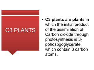 C3 and C4 plants Botany | PPTX